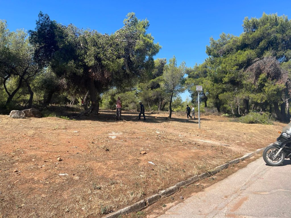 ΚΑΘΑΡΙΣΜΟΙ ΣΤΟ ΔΑΣΟΣ ΚΕΦΑΛΑΡΙΟΥ - Maroussi City News - Νεα, Προσφορές ...